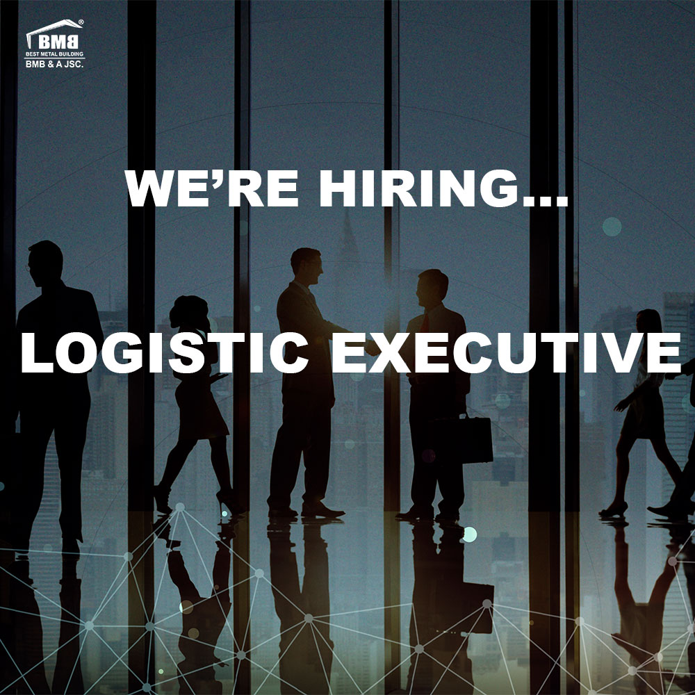 LOGISTICS EXECUTIVE